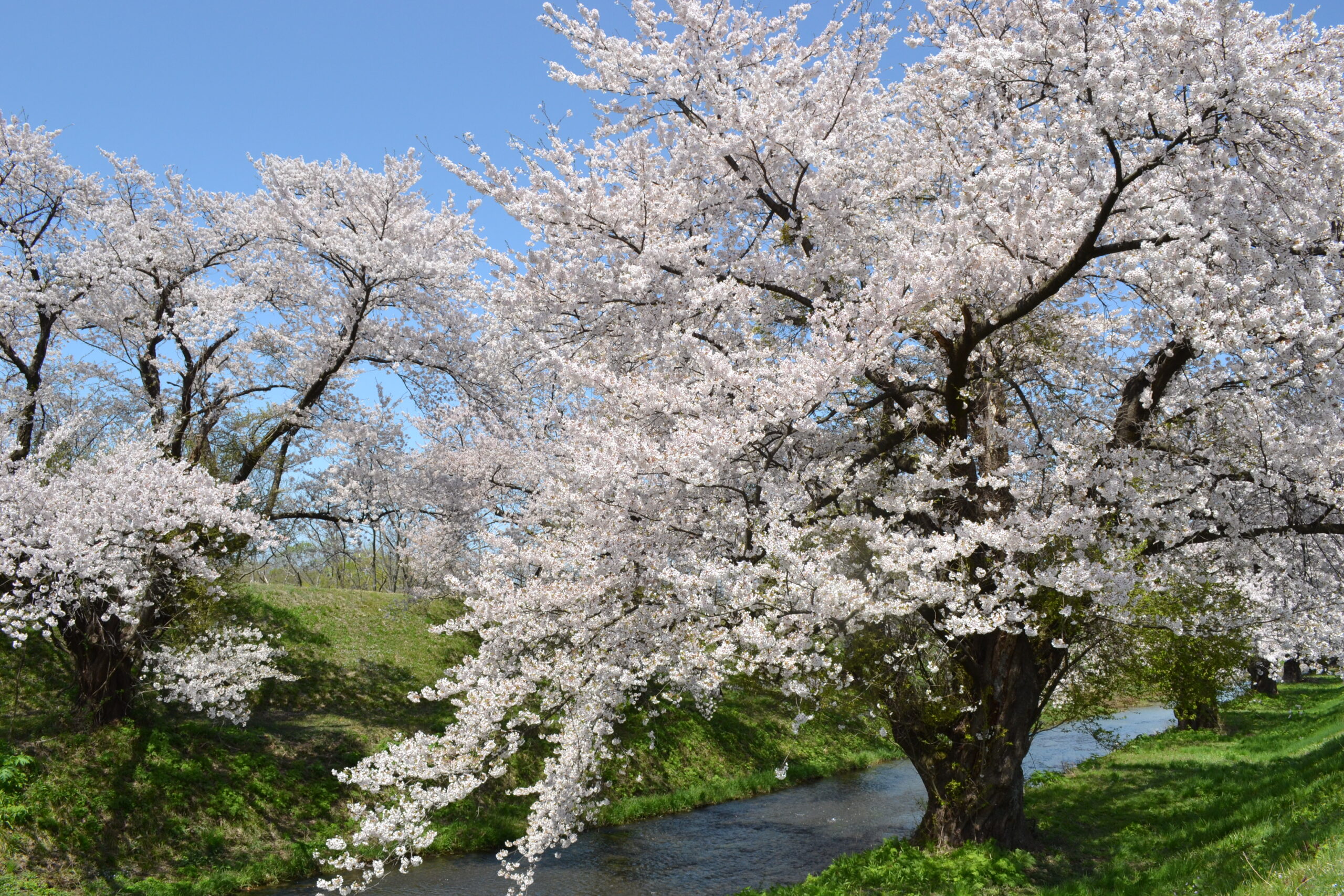 The Northern Heart of Japan